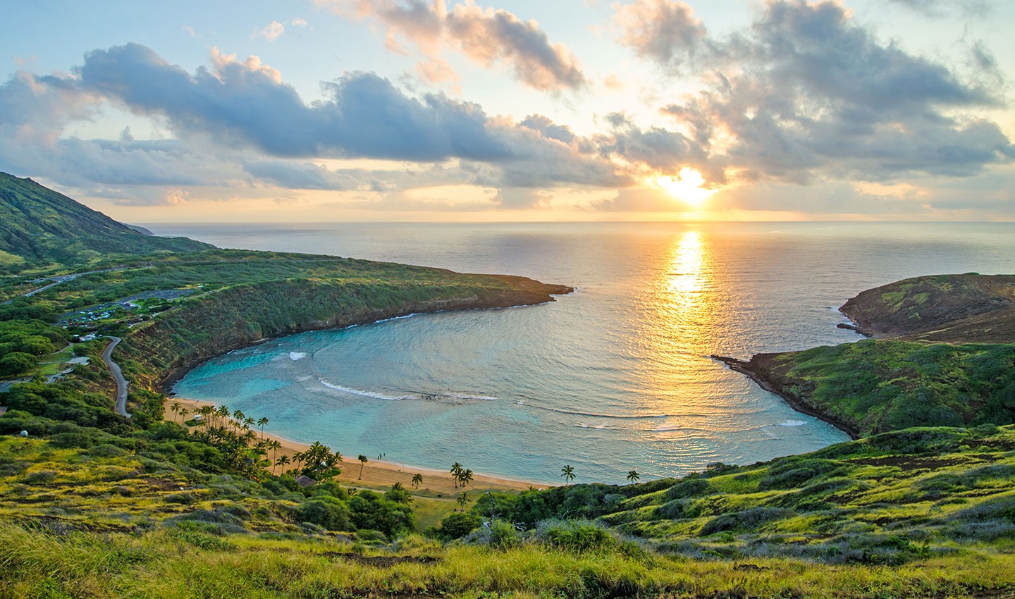 Opt-in Window for HGV Max | Timeshare Users Group Online Owner Forums